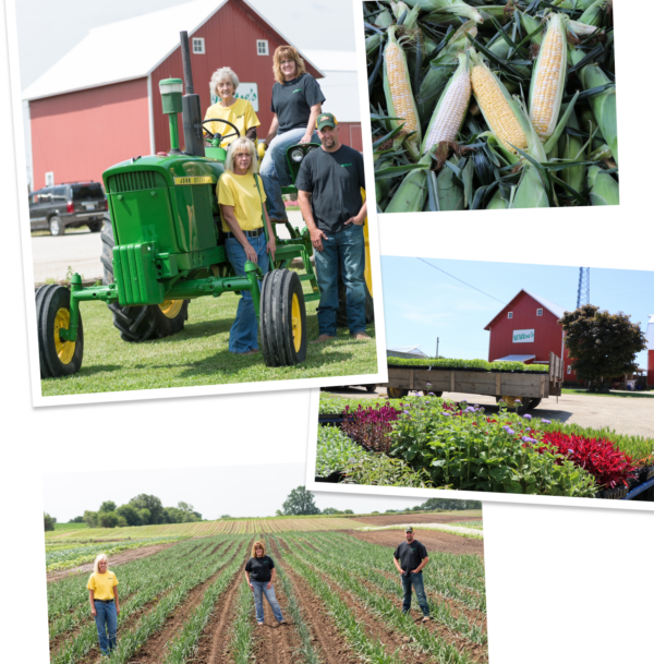 Home - Wiltse's Farm