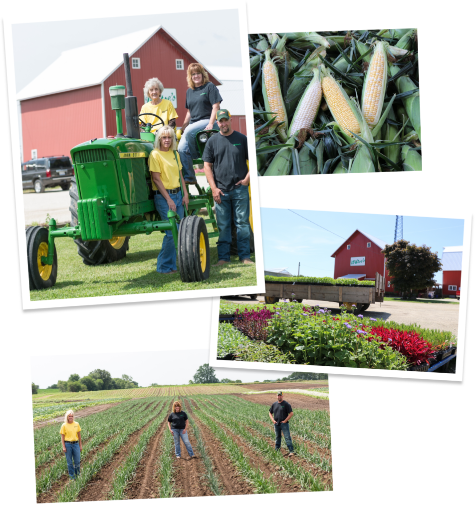 Home - Wiltse's Farm